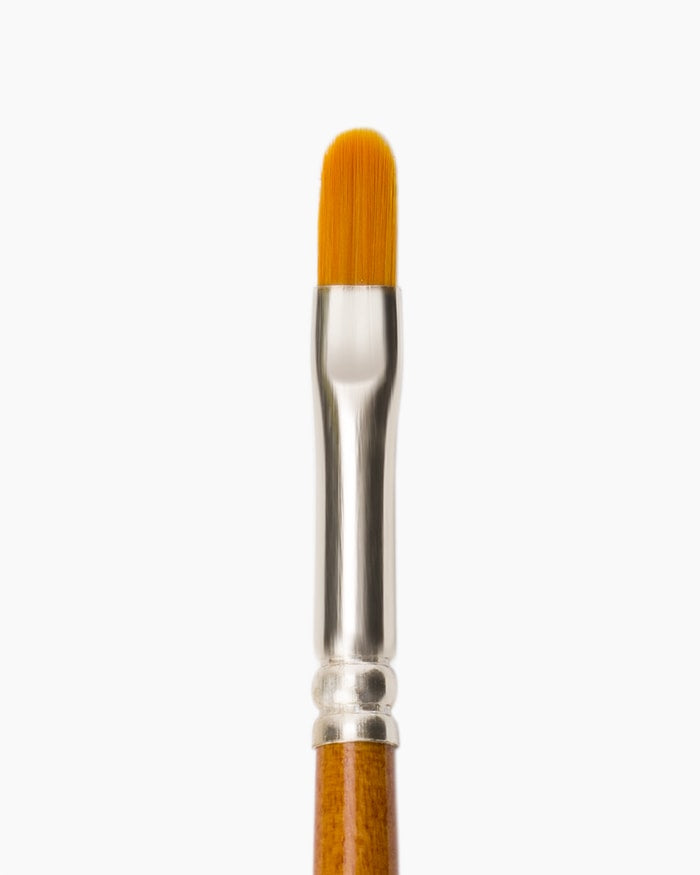 Camel Camlin Speciality Brush (Filbert) — Bansal Stationers